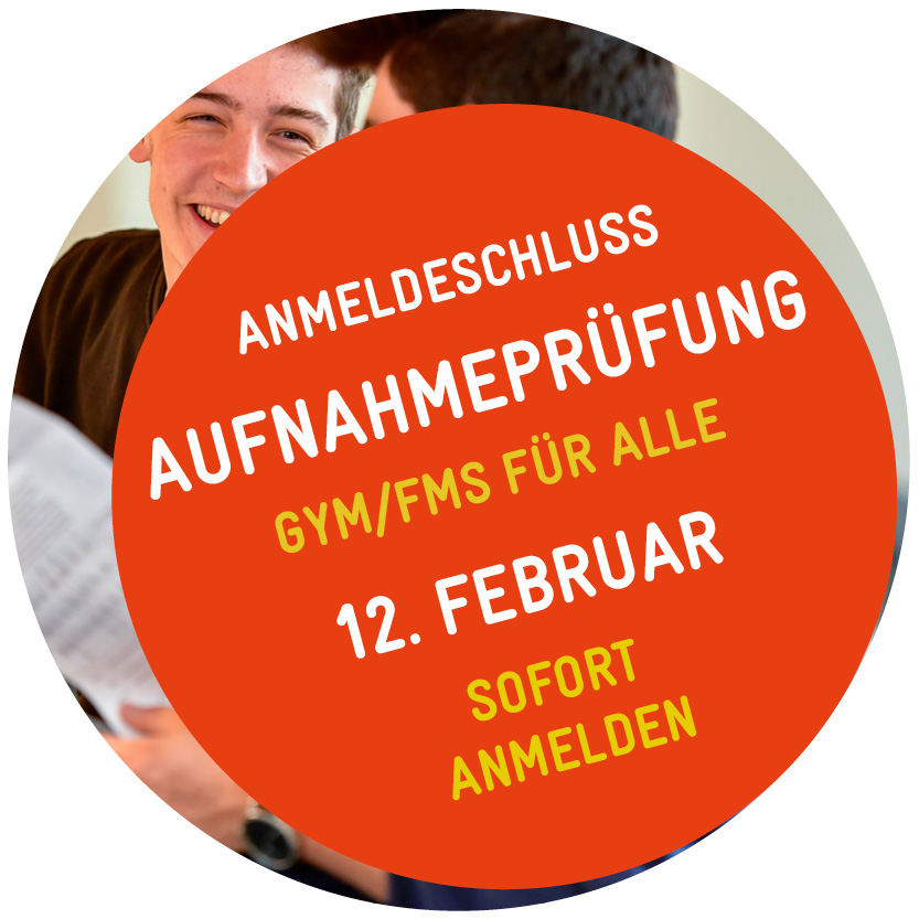 Theresianum Ingenbohl: Privatschule und Internat